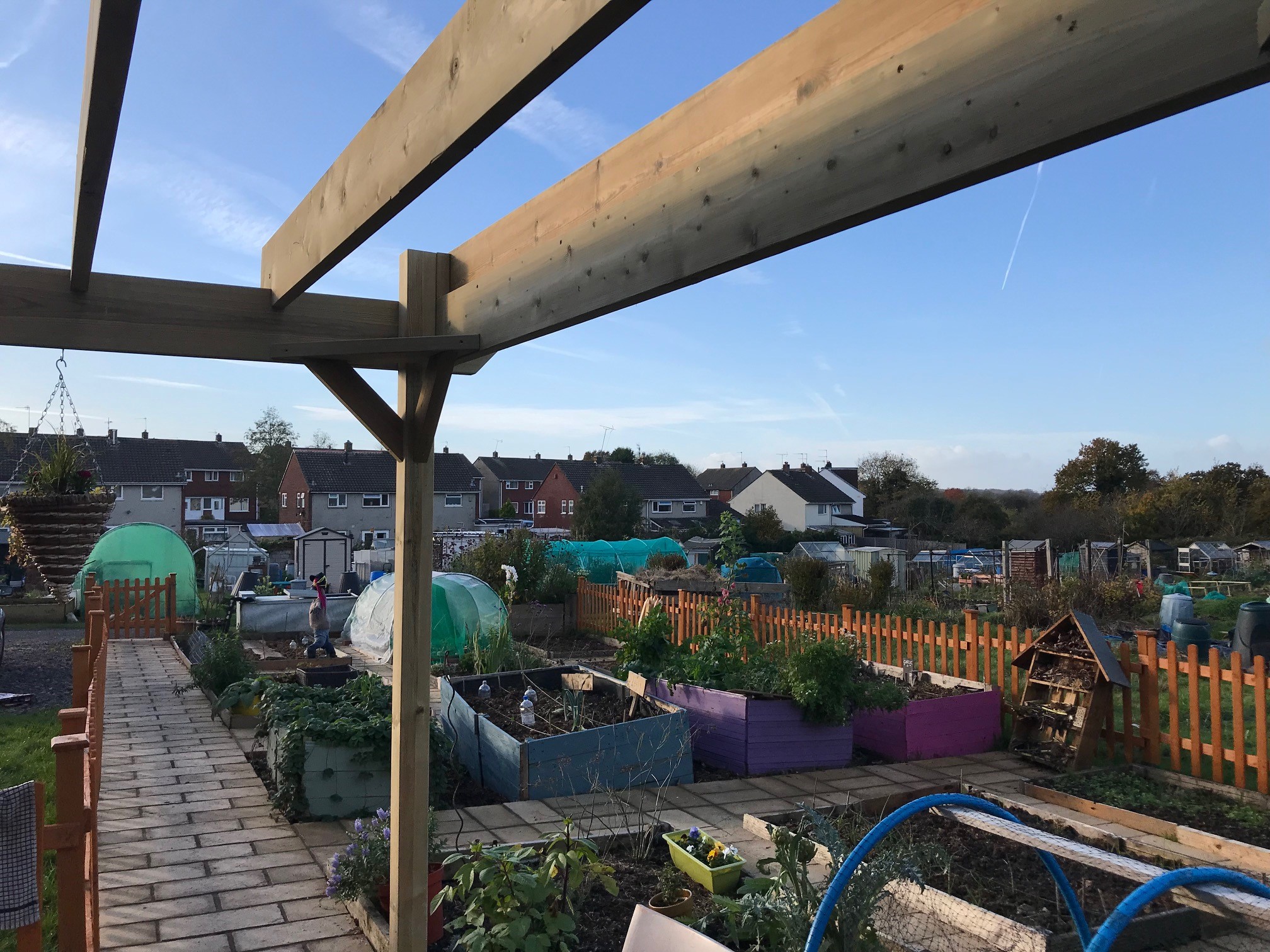 Meeting our Grantees: Alive Activities, Bristol – McCarthy Stone Foundation